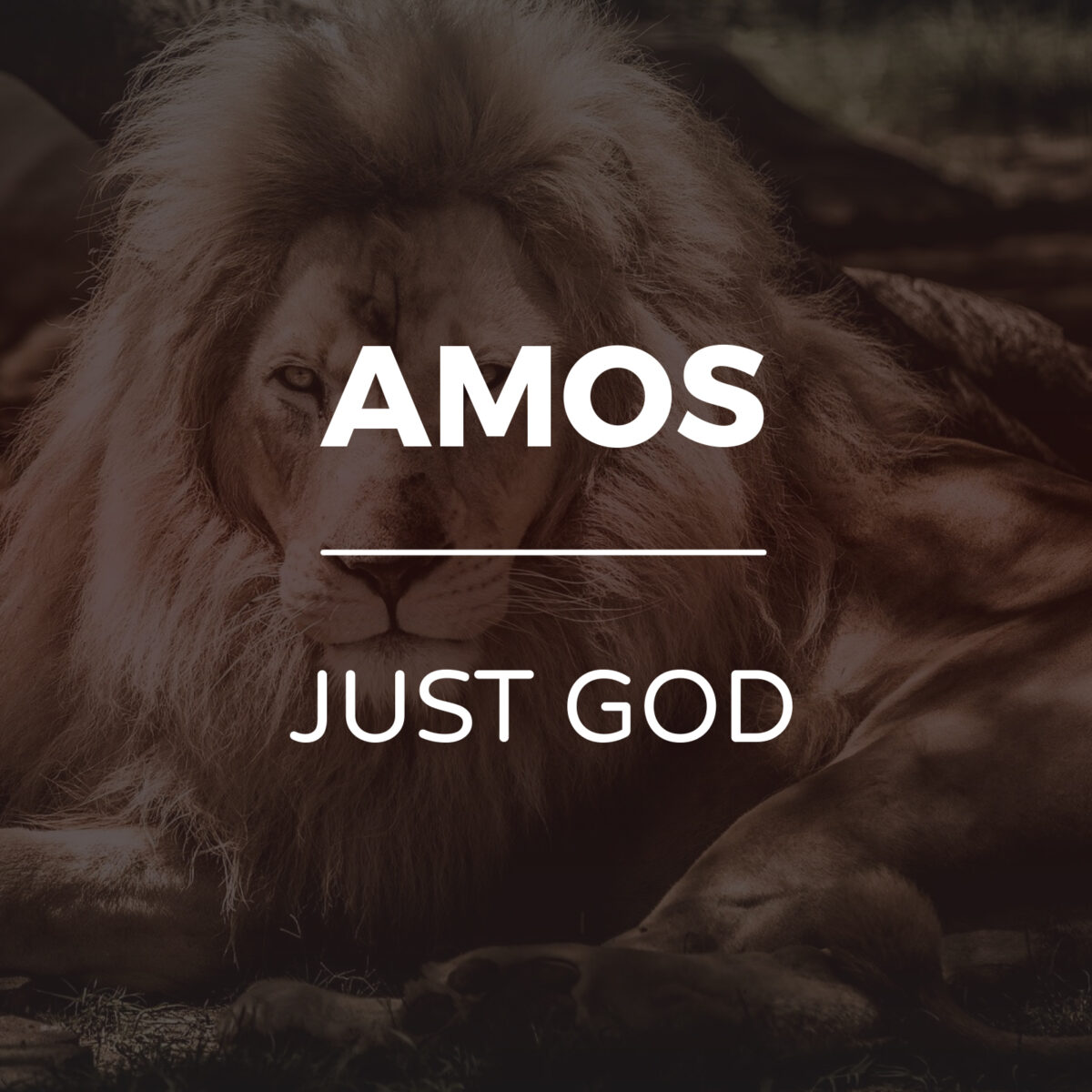 Amos – Just God – Hope Church Huddersfield