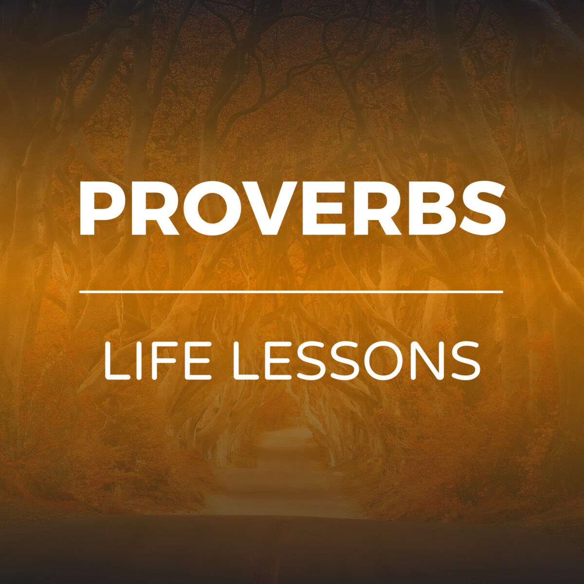 Proverbs – Hope Church Huddersfield